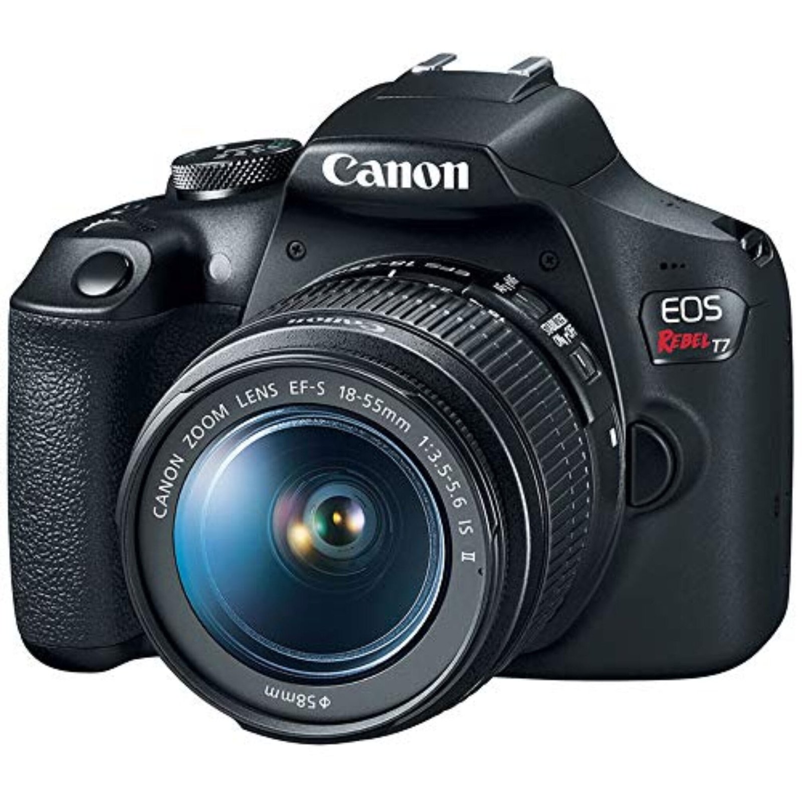 Best Camera for Nature Photography: Discover the Canon EOS Rebel T7
